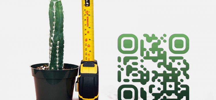 QR Code Size Guide – How Small or Big? - Pageloot